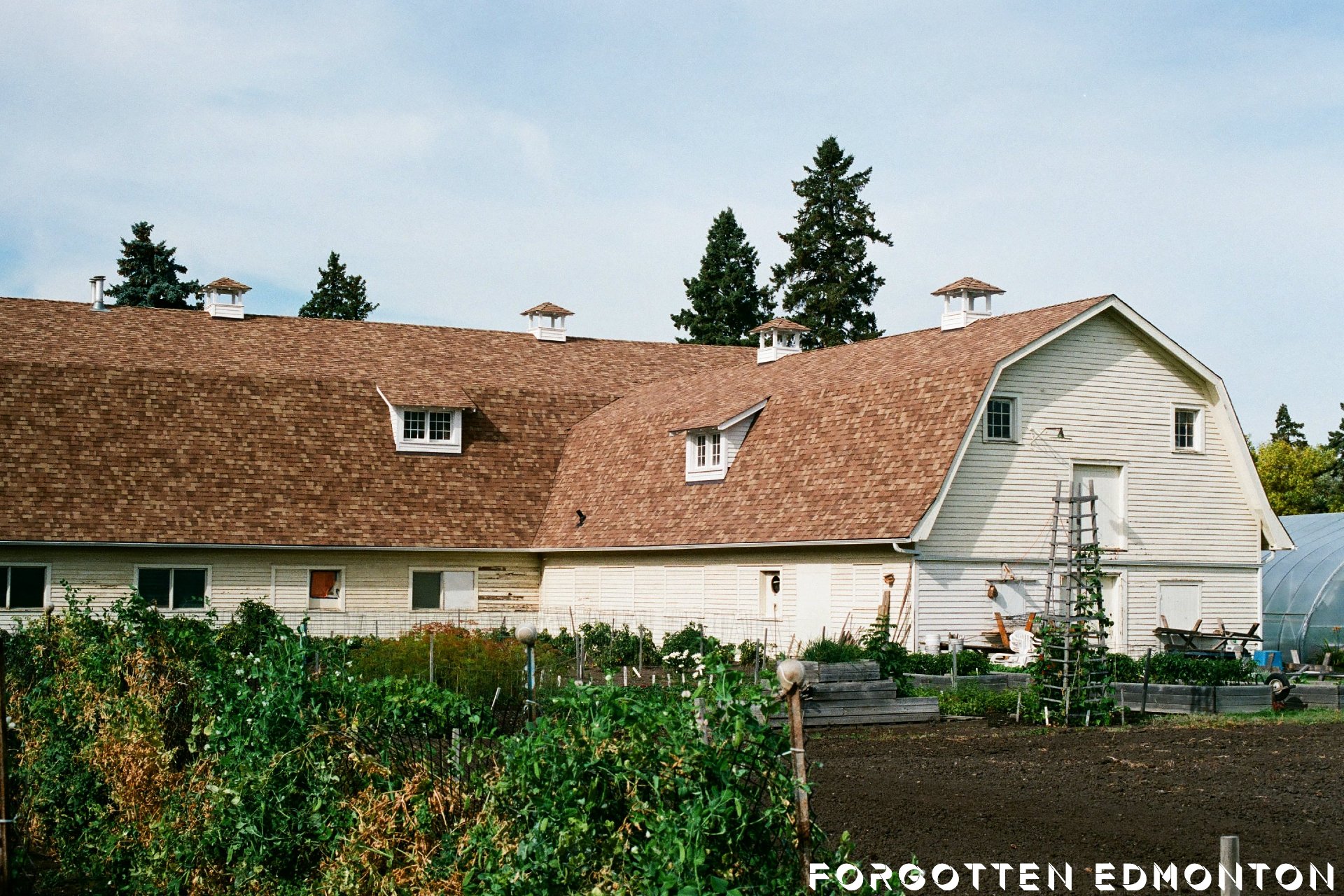 The University Farm: History & Struggles — Forgotten Edmonton
