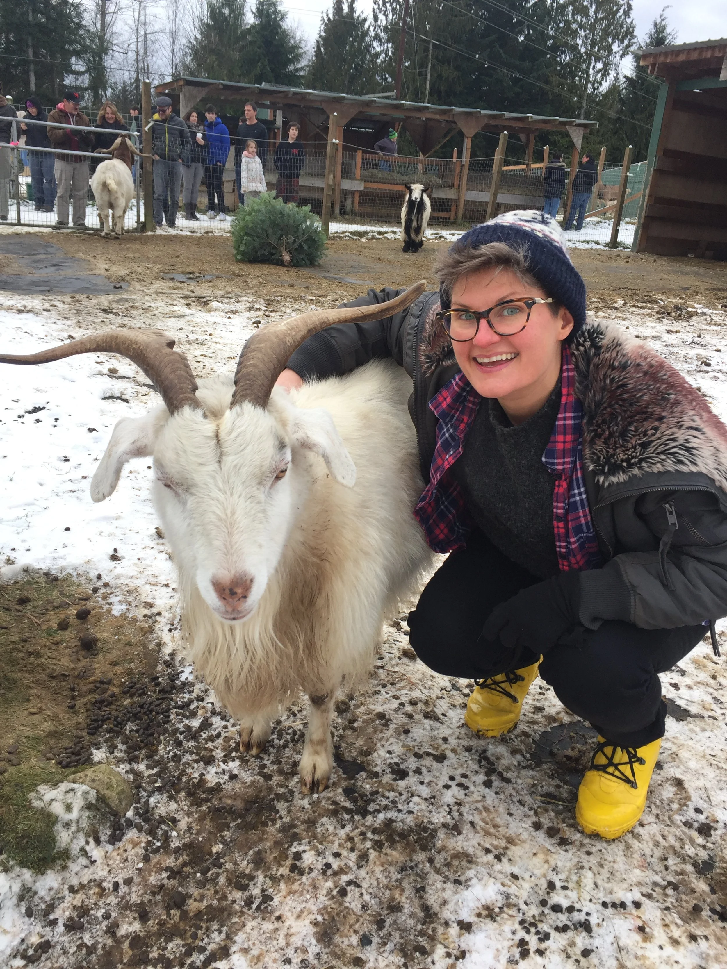 Meet Dr. C — The Resilience Doctor