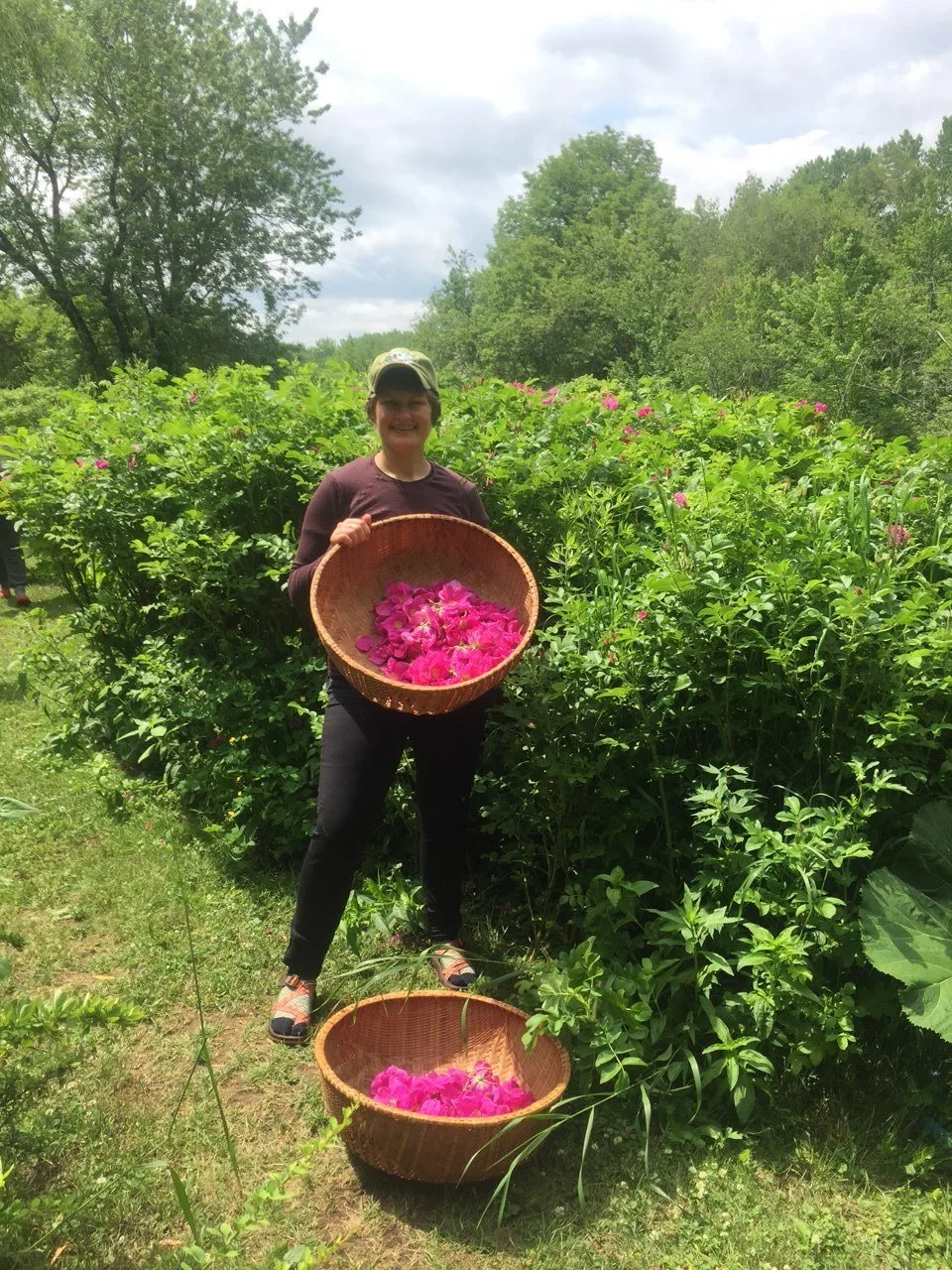 Educating — The Resilience Doctor