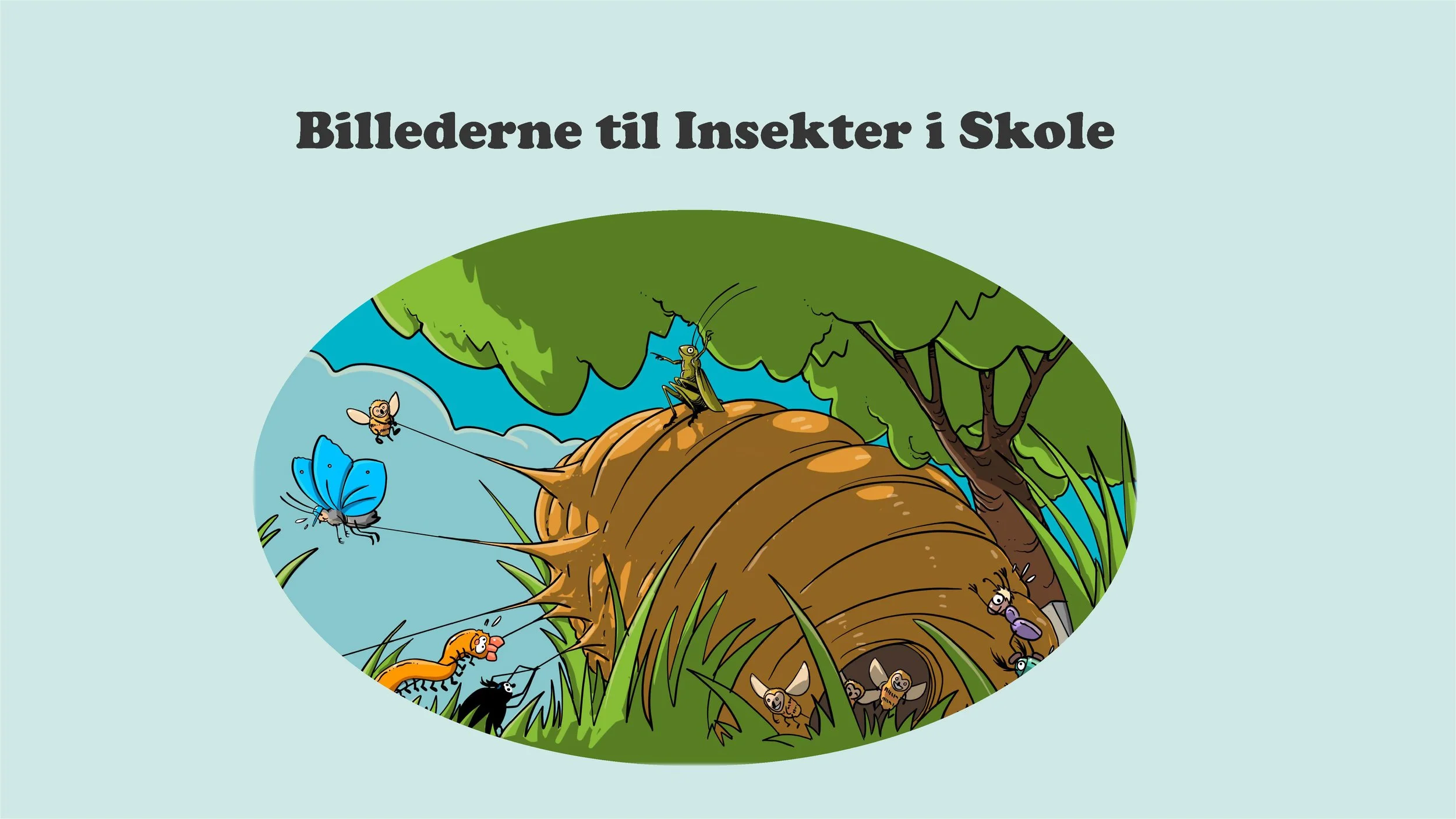 Insekter — Fagene i Bevægelse