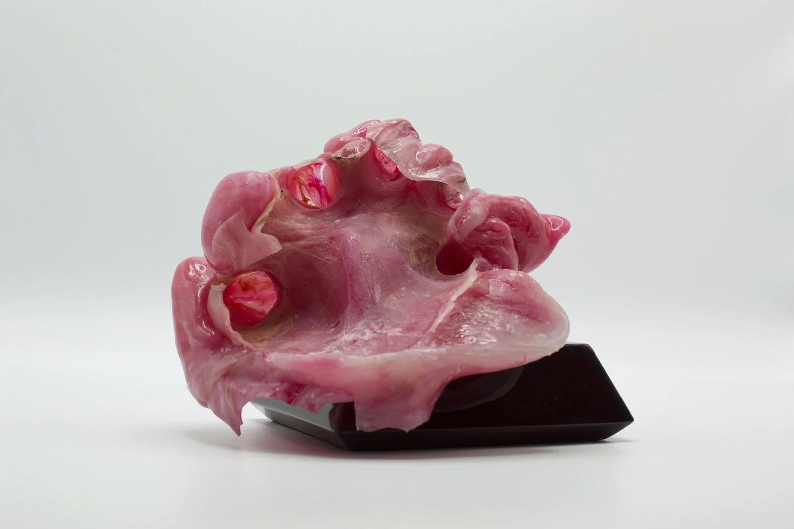 Jia-Jen Lin - Meet the Artist | ArtConnect Magazine