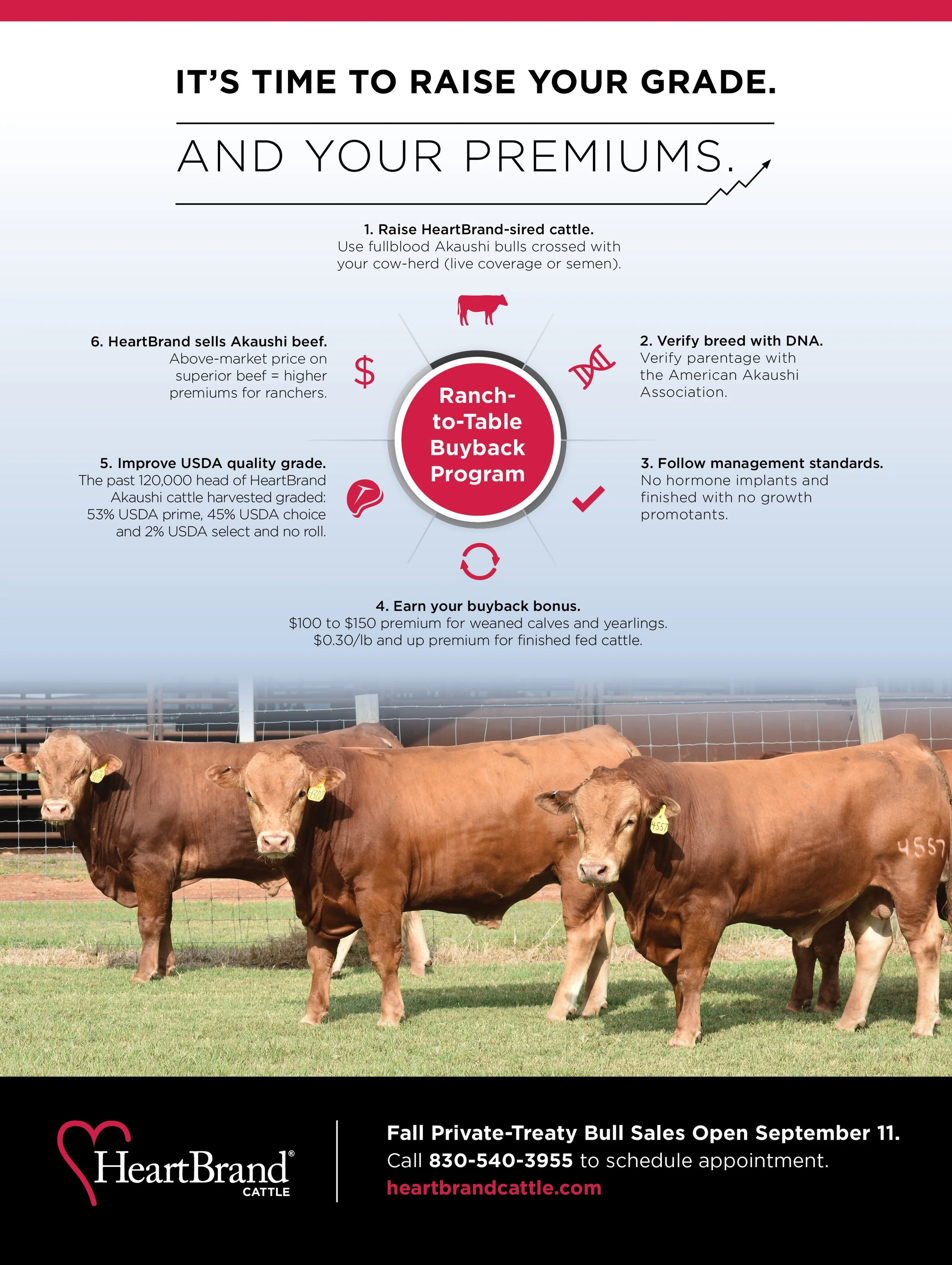 HeartBrand Cattle — Akaushi Association Association