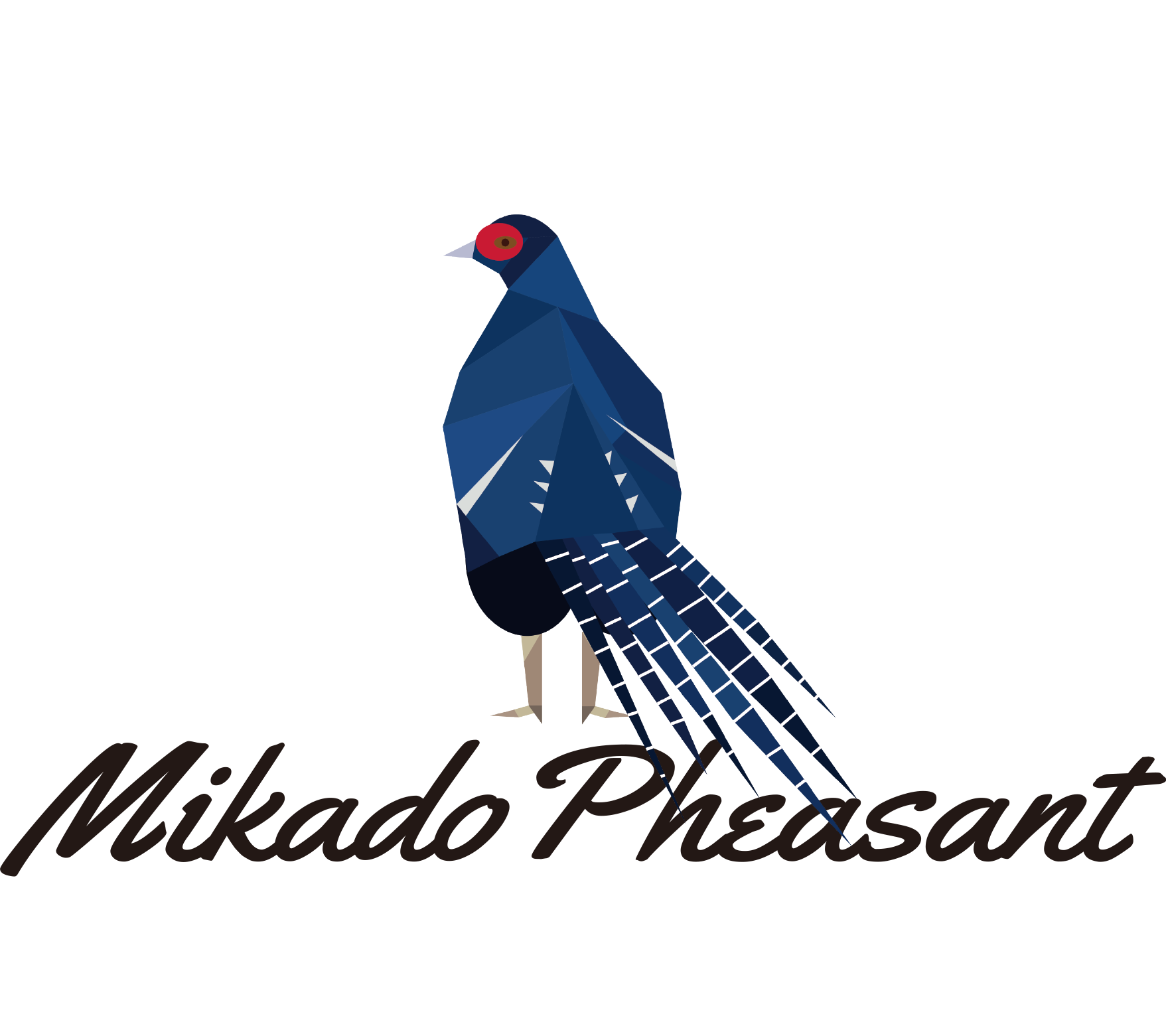 Mikado Pheasant