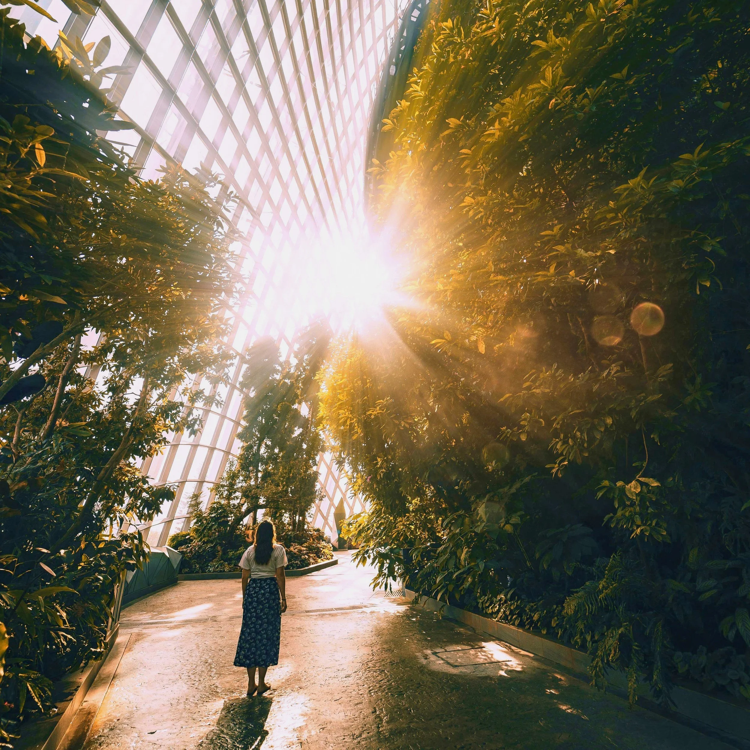 Practitioner Training — Healing Embodied