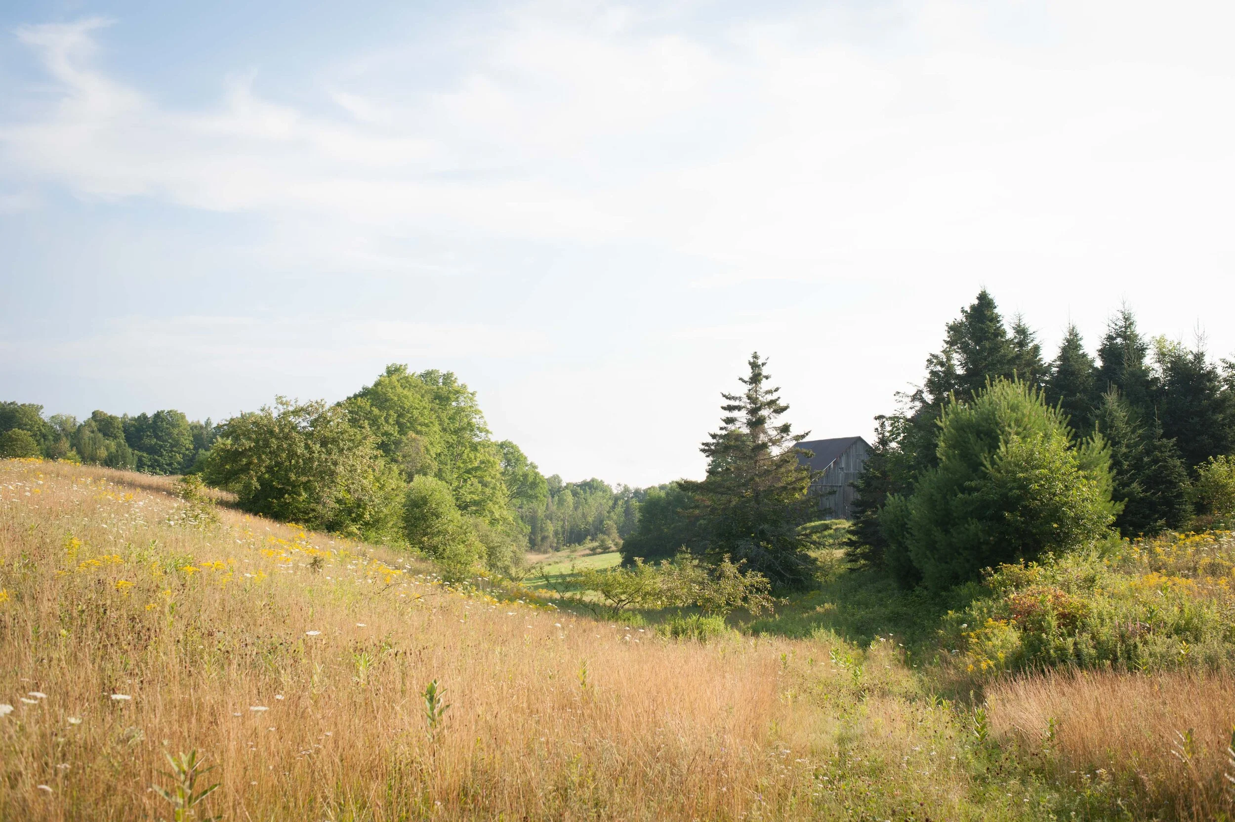 Northeast Kingdom Running Camp