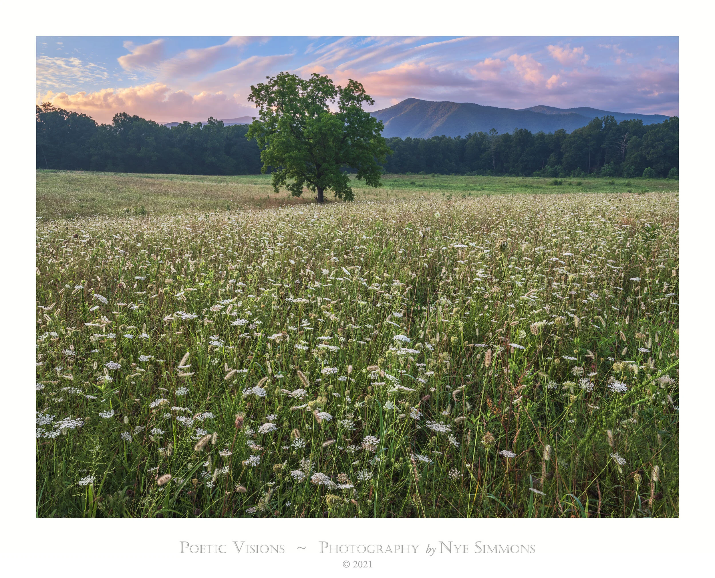 Nye Simmons Great Smoky Mountains Fine Art Image Gallery — Nye Simmons ...