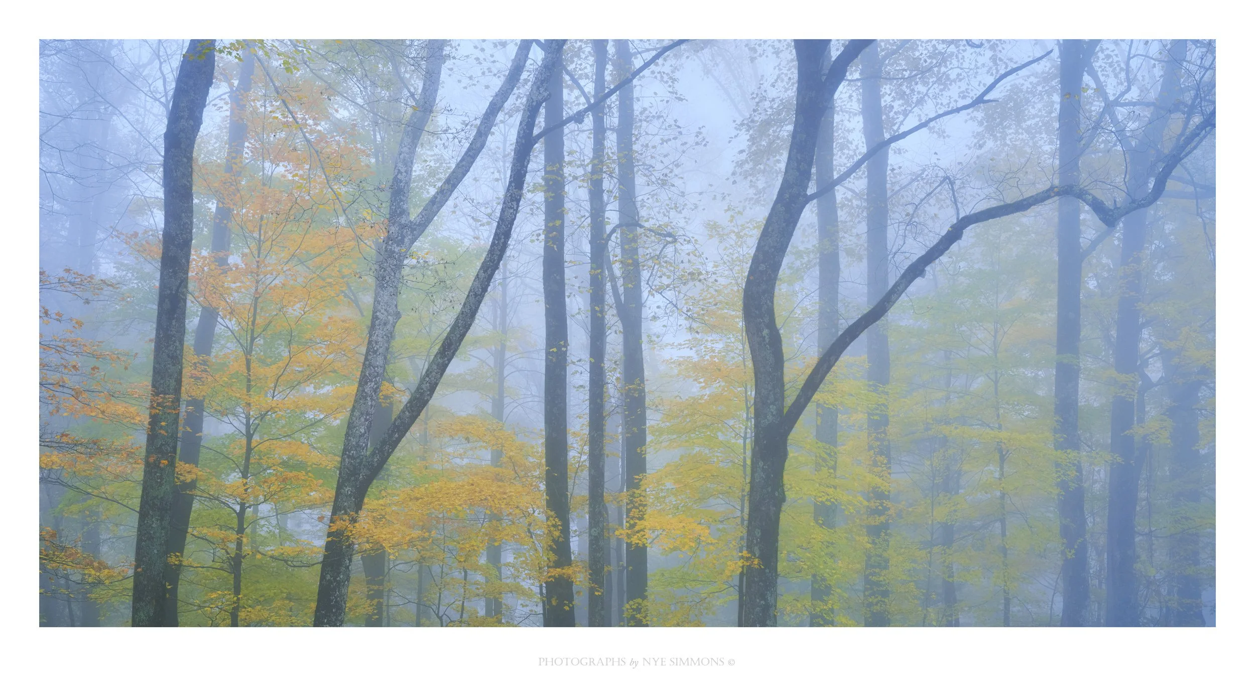 Nye Simmons Great Smoky Mountains 2026 Fall Color Photo Workshop — Nye Simmons Nye Simmons