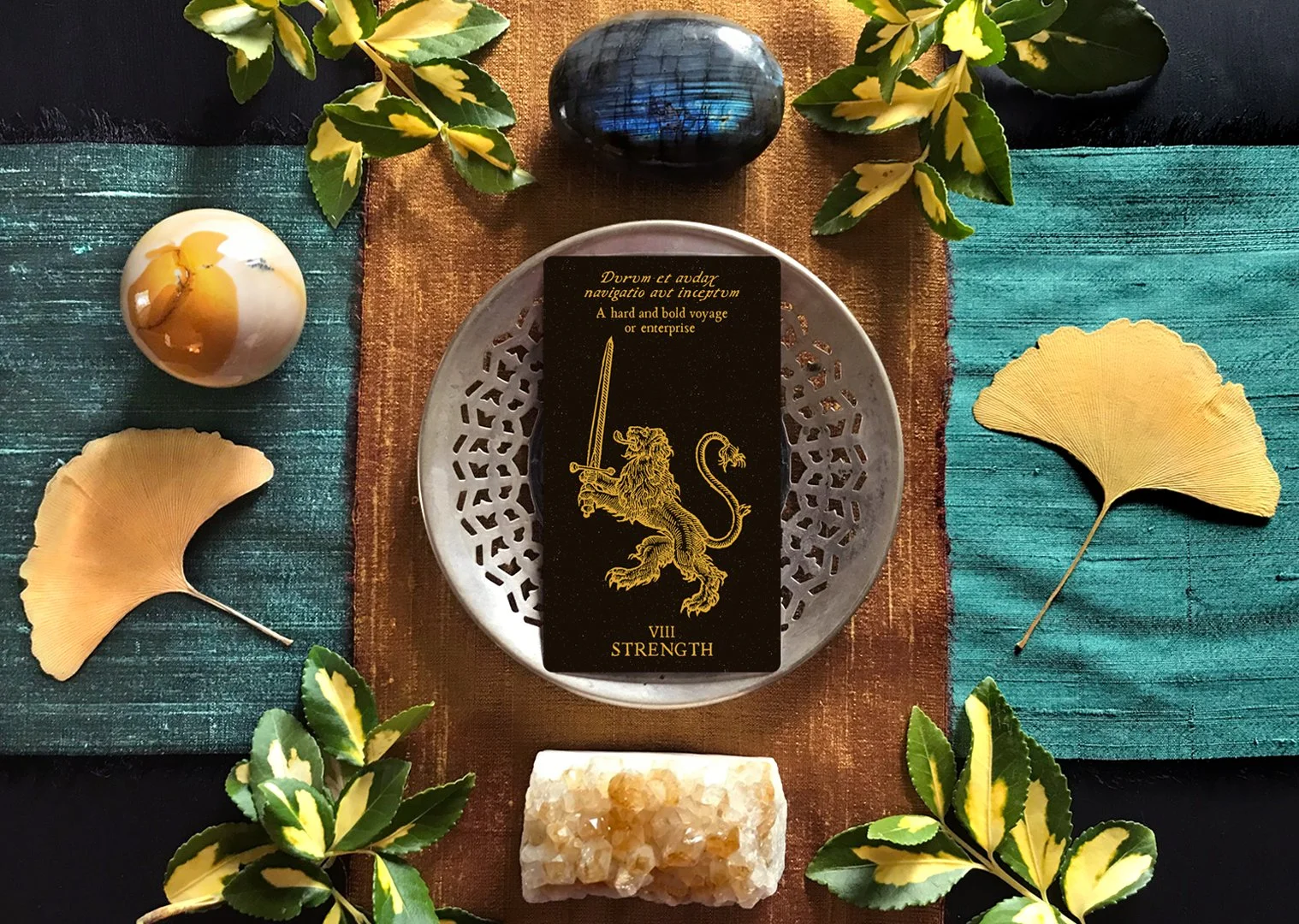 Tarot Emblemata Tarot Deck and Oracle Cards Renaissance Emblems of ...