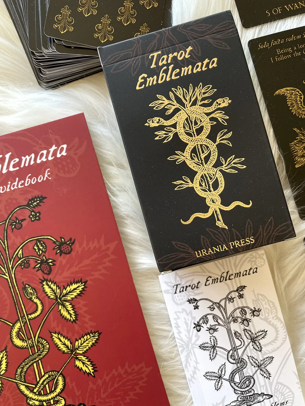 Tarot Emblemata CHROMATA Tarot Deck (88 cards + 10 Oracle cards ...