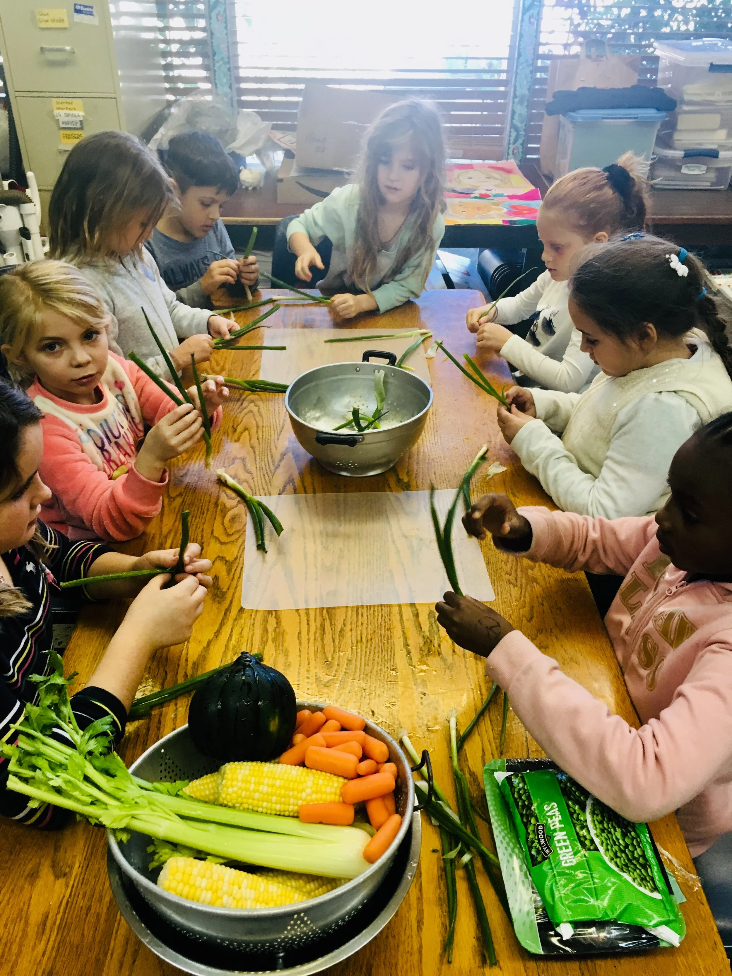 SunFlower Private School