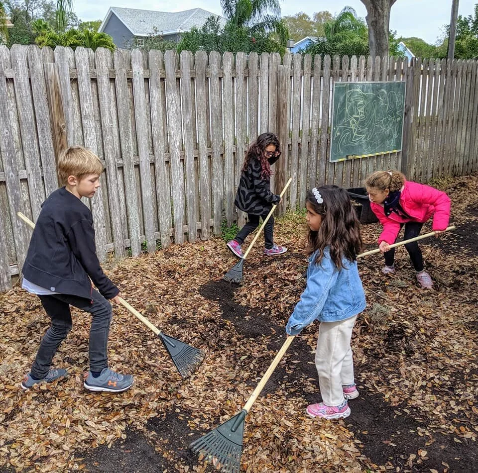 SunFlower Private School