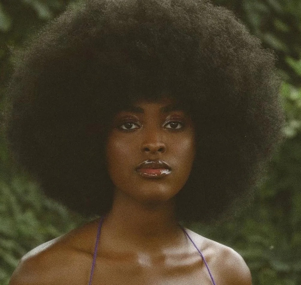 Jadea Knight — Second Street Gallery