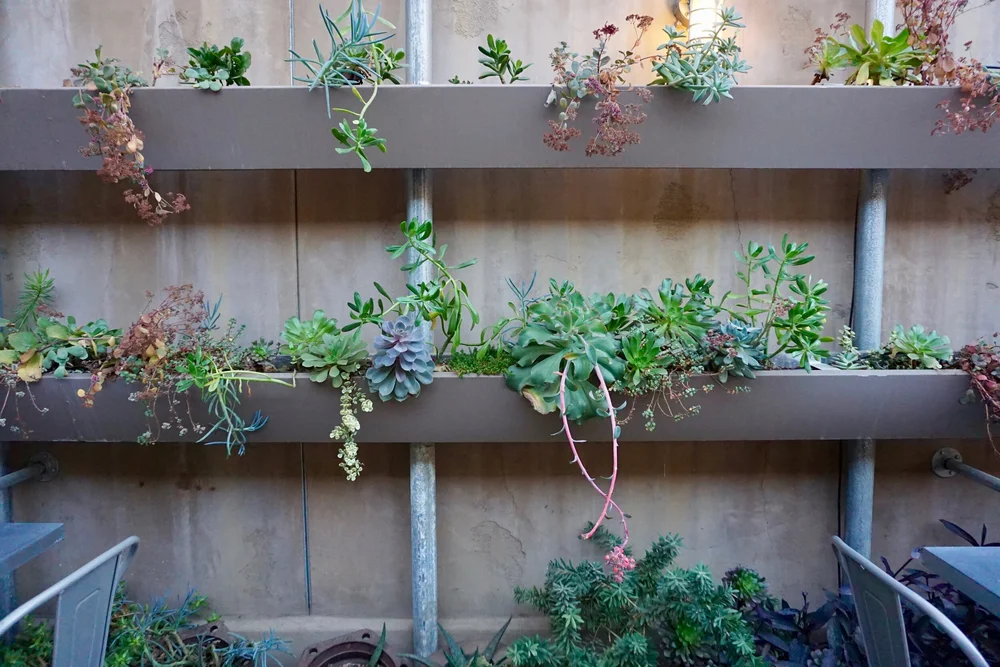 Preserve — Discover Winters