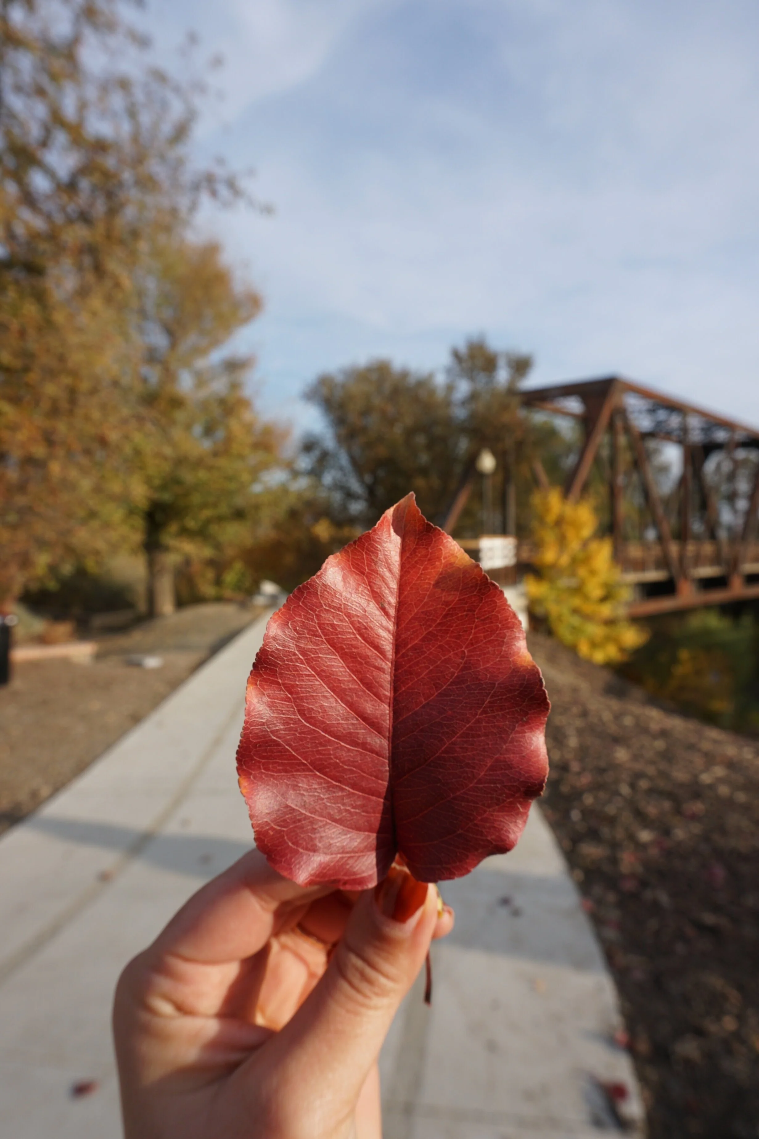 Fall in Winters — Discover Winters