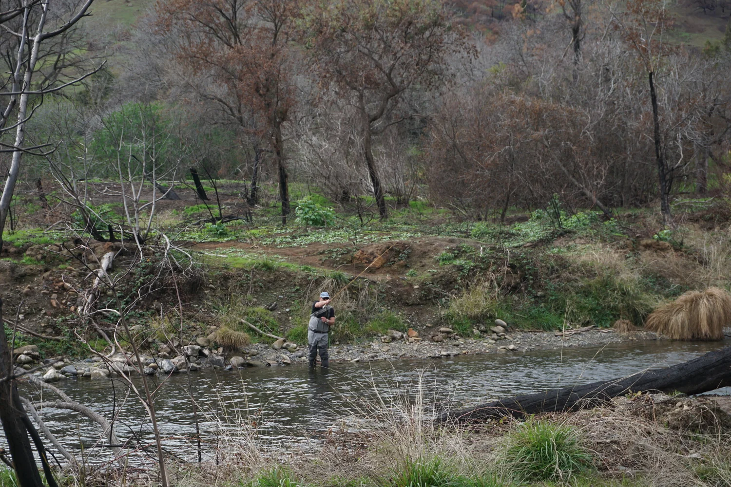 Lake Solano Park — Discover Winters