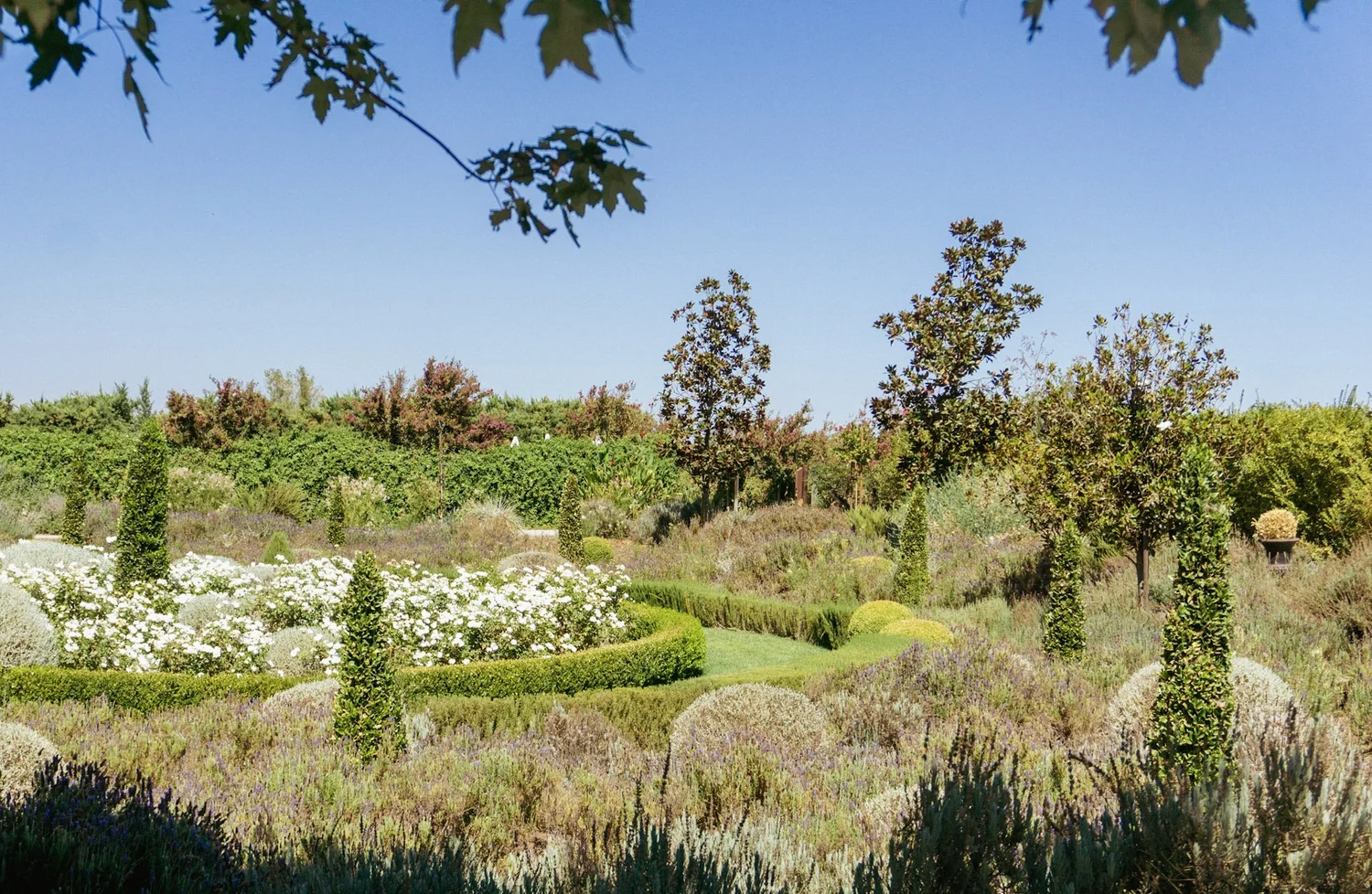Park Winters Garden Tour — Discover Winters