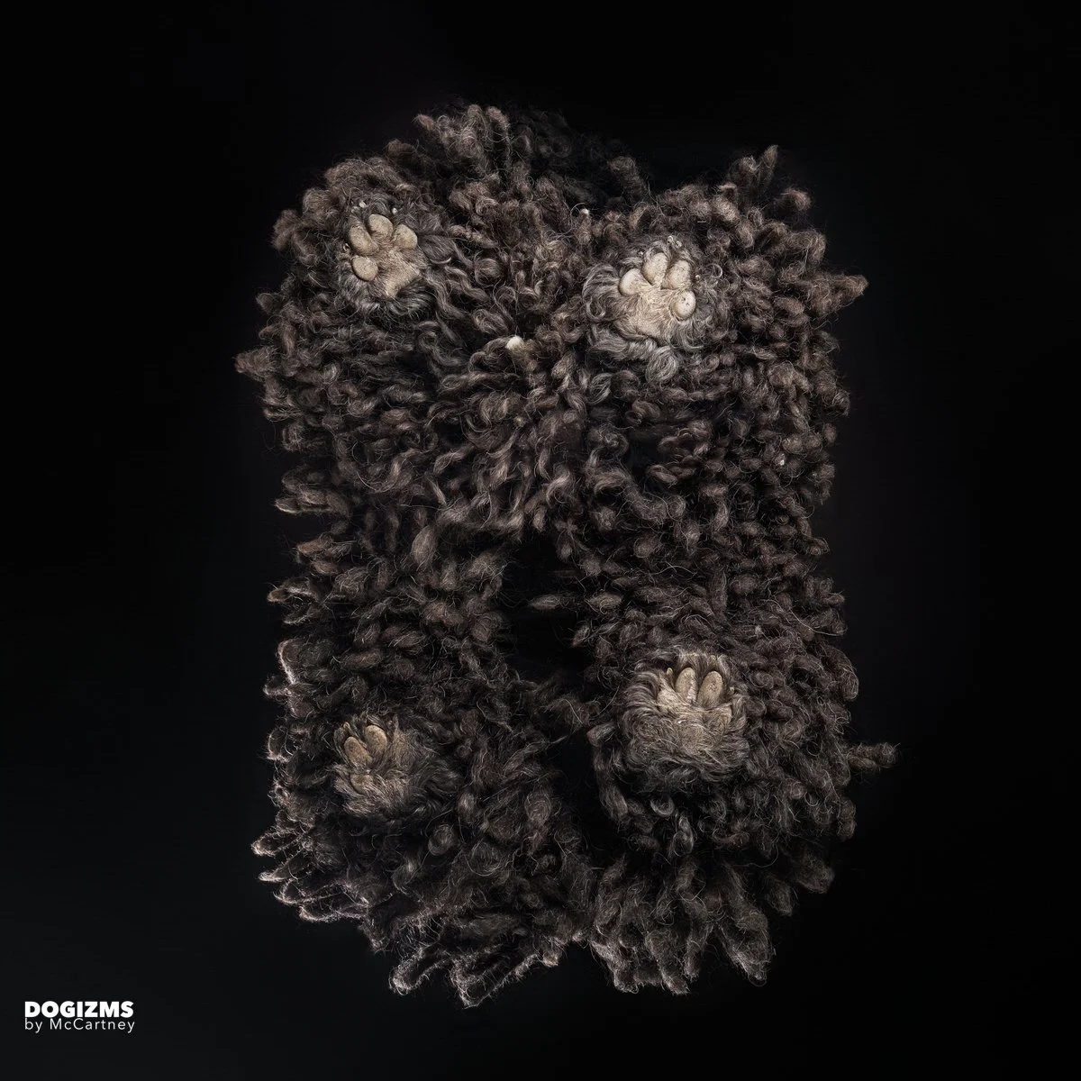 Dogs Photographed on Glass Looking Down — DOGIZMS