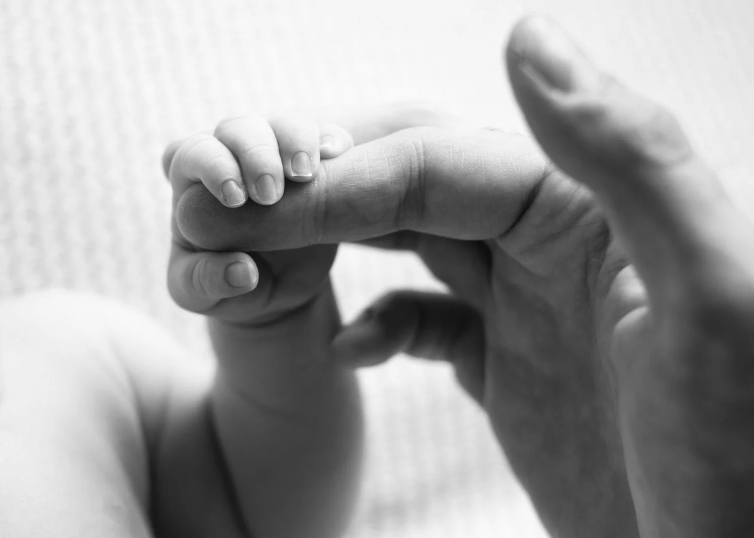 Natural Newborn Photography | Vancouver, BC — Newborn Photography ...