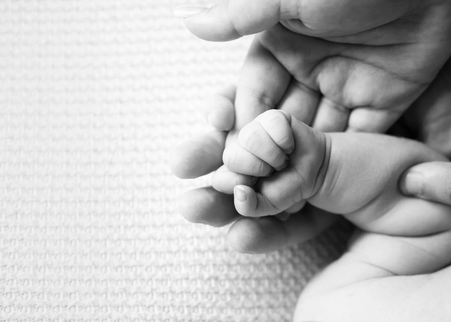 Natural Newborn Photography | Vancouver, BC — Newborn Photography ...