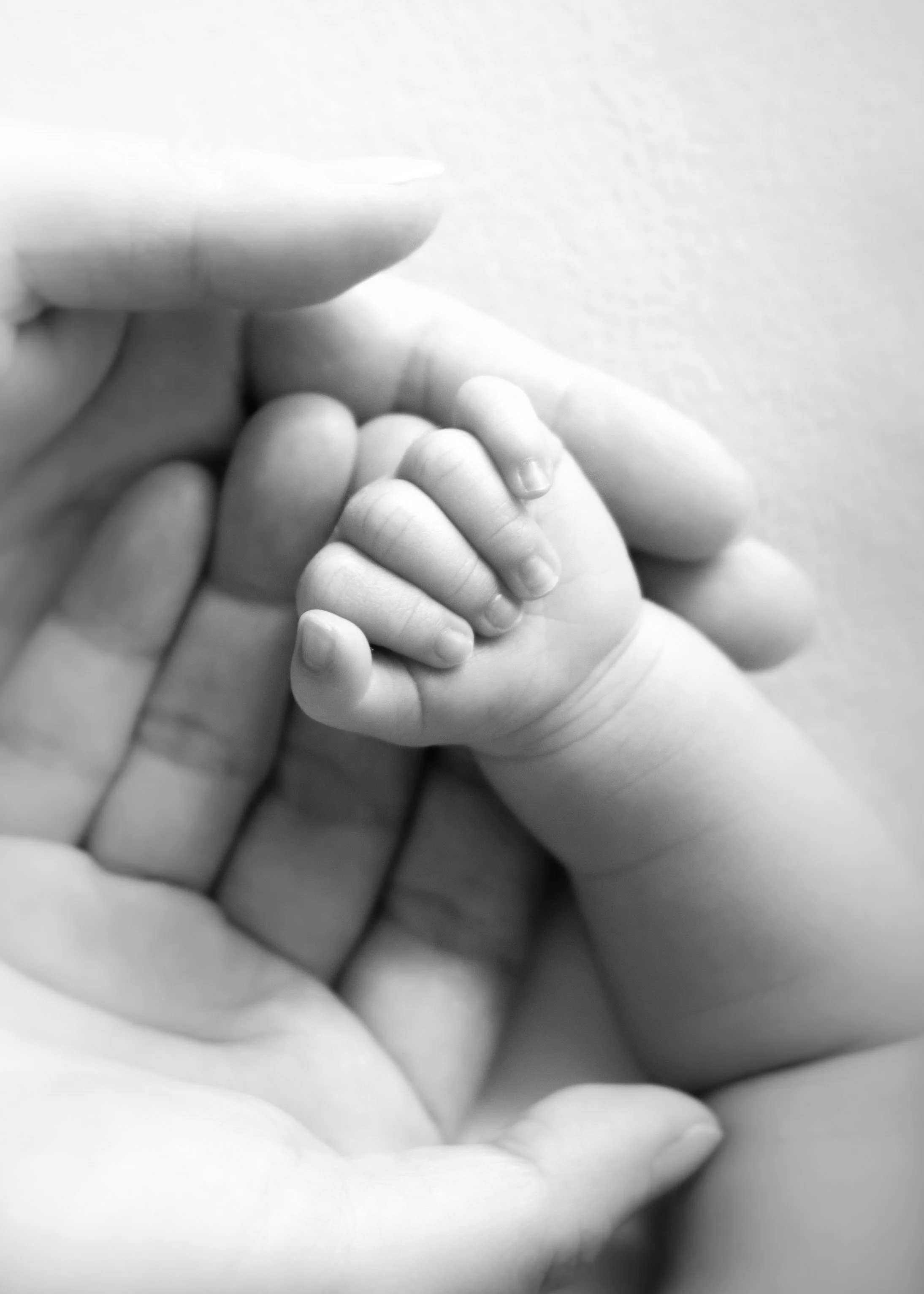 Baby Hands Photography