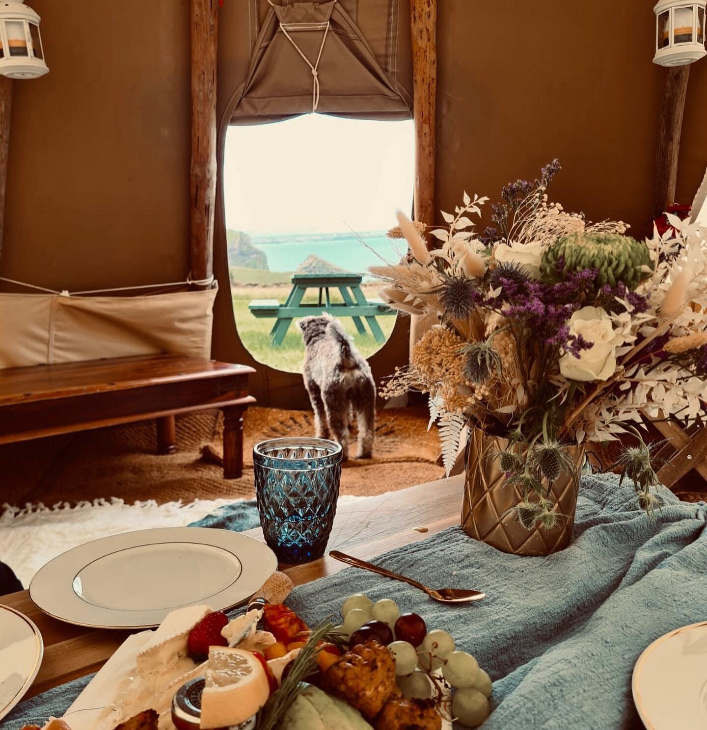 SEAVIEW TIPIS // CORNWALL