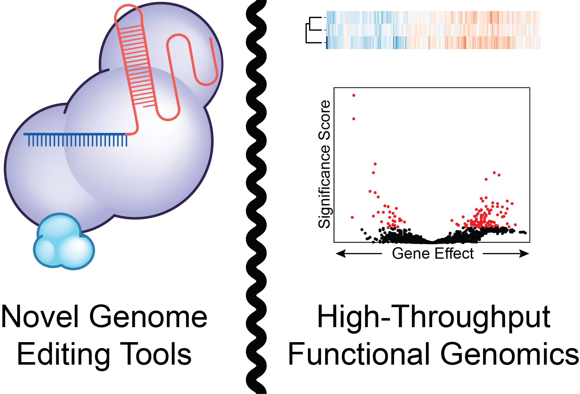Research — The Hess Lab @ UW