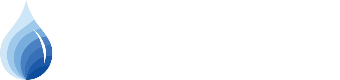 BCF Partners Capital