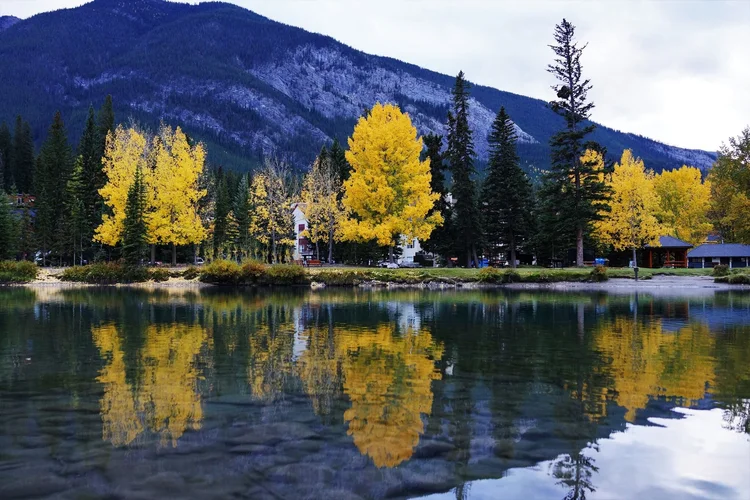 Bow View Lodge | Banff's Most Affordable Hotel