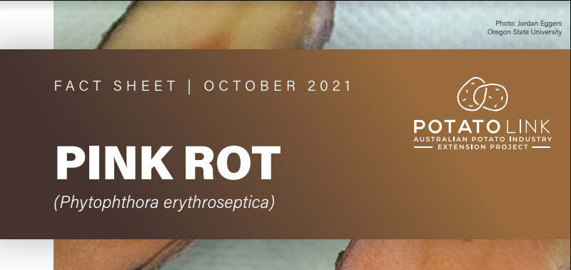 Factsheets — PotatoLink