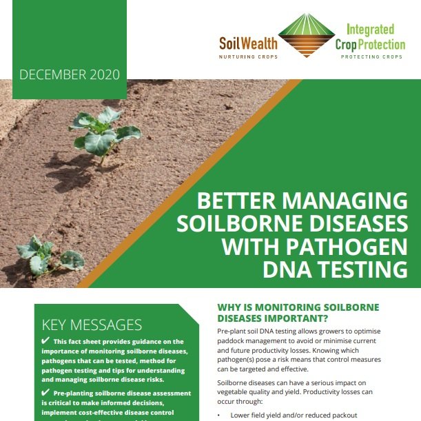 Better managing soilborne diseases with pathogen DNA testing — PotatoLink