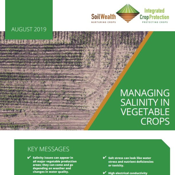 Managing salinity in vegetable crops — PotatoLink
