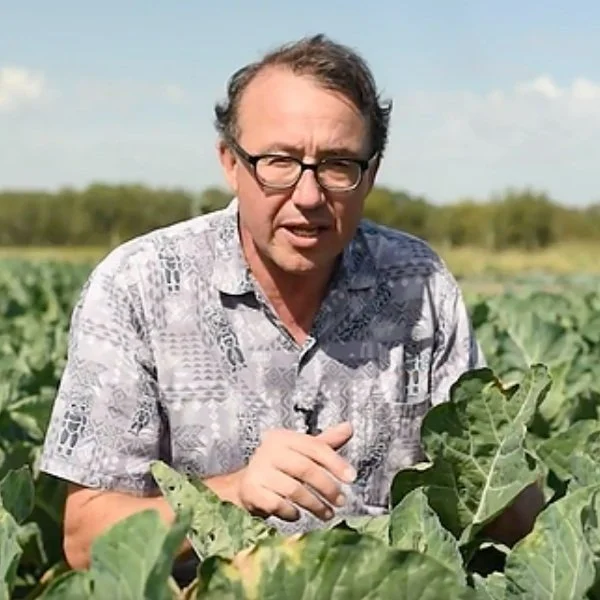 Online Training: Disease Identification — PotatoLink