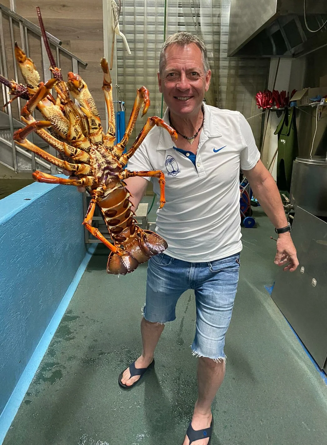 Vasiliki | Melbourne's Freshest Southern Rock Lobsters