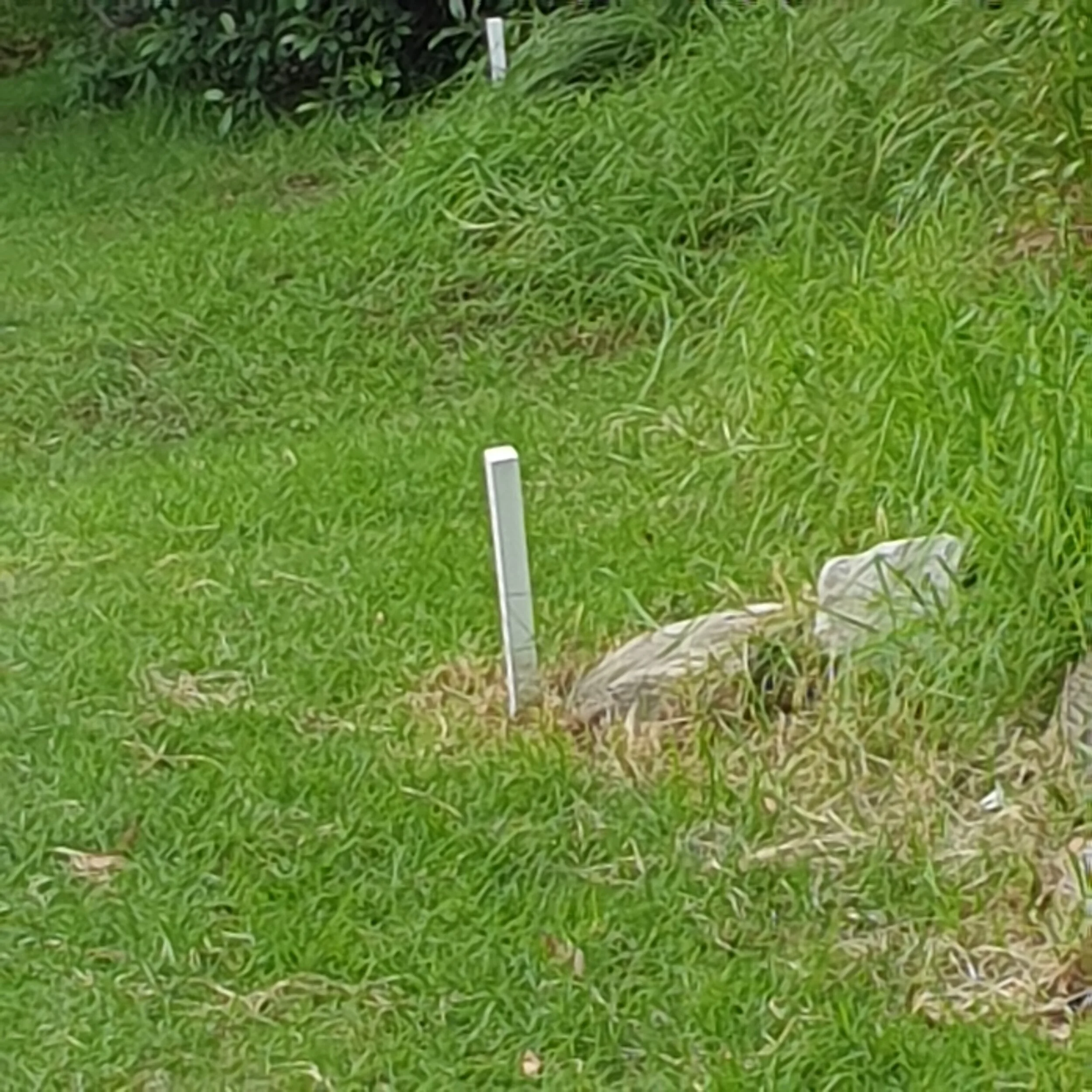 Local Rules — Marrickville Golf Sporting and Community Club