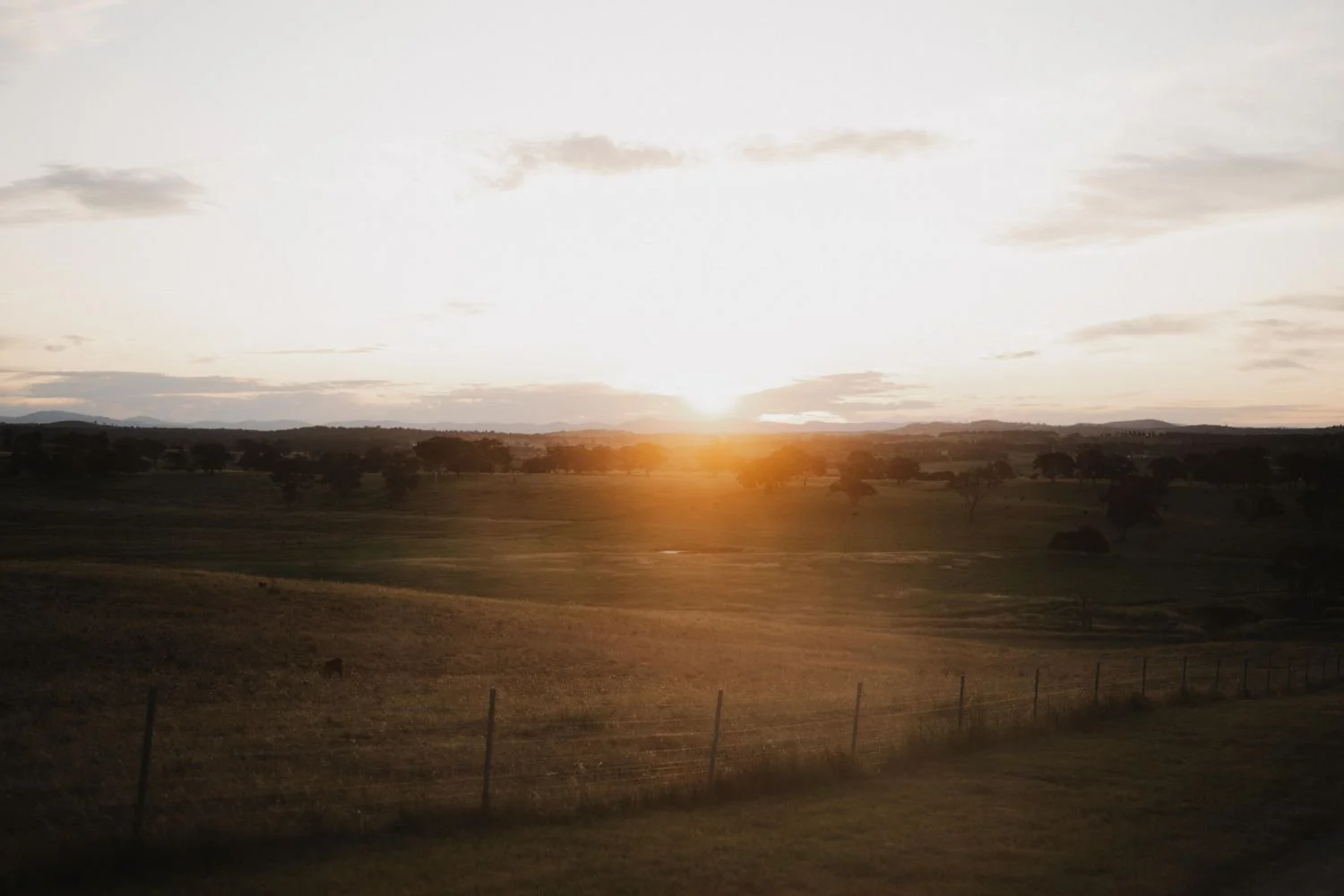 The Golden Hour: Why Photographers Love capturing Wedding images at Sunset. — Petrichor Farm – a ...