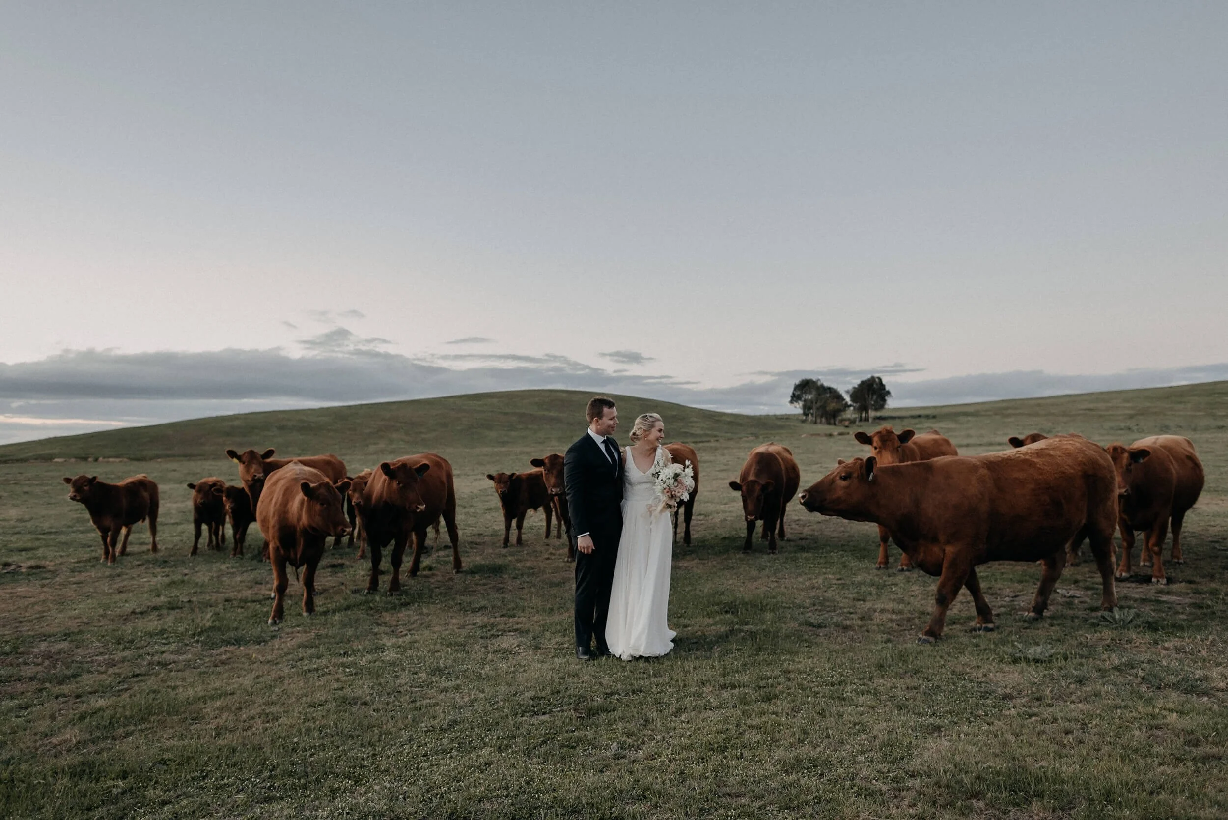 Petrichor Farm – a country wedding venue with stunning views.