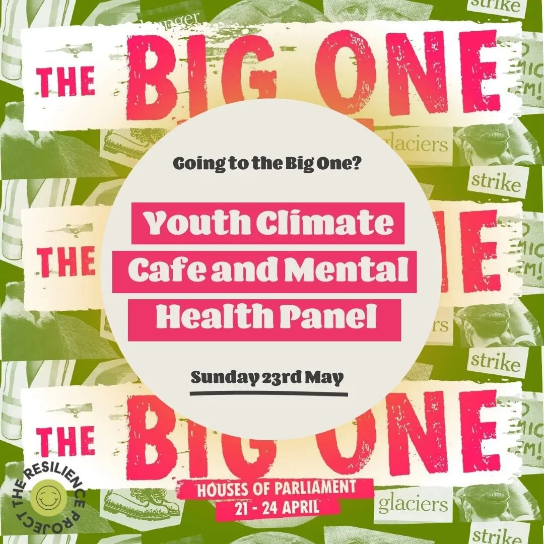 The Resilience Project