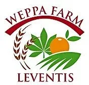 The A. G. Leventis Foundation