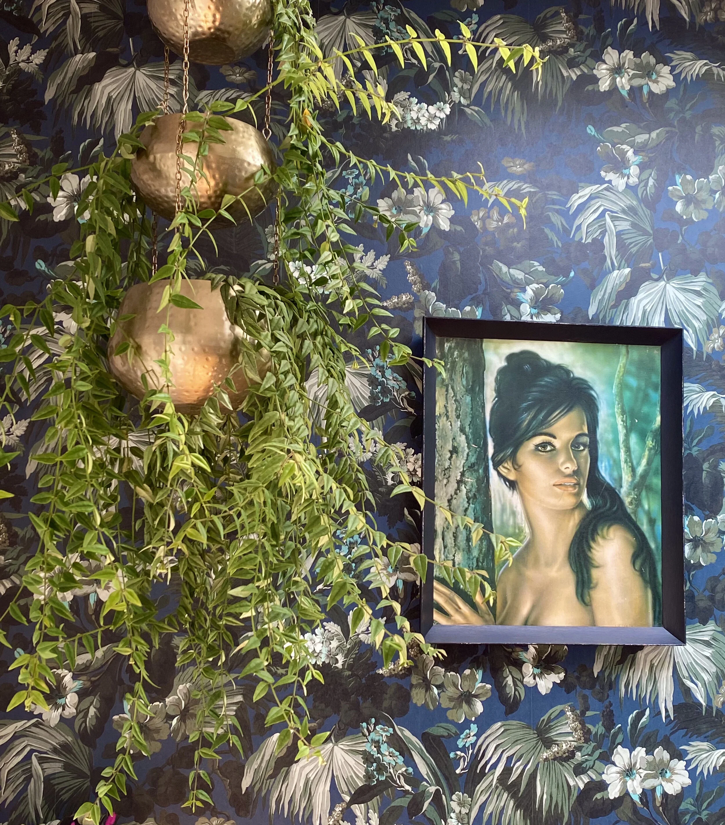 Elinor Wright Interiors