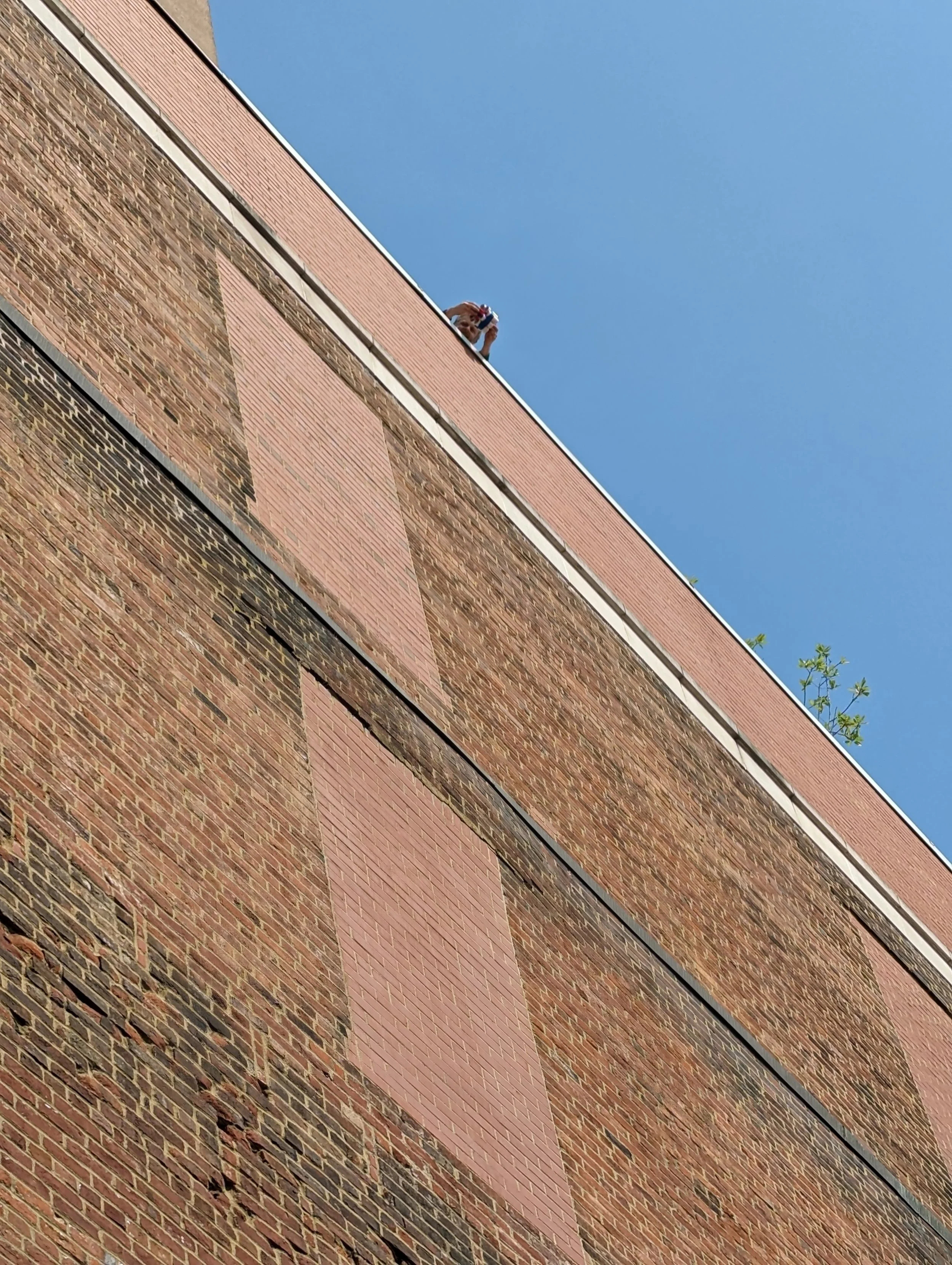 Moonshiners Program, Back-to-School Supplies, 1800 & 1900; Black Patch ...