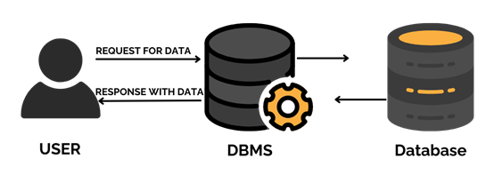 Database Management System (DBMS): An Overview and Patentability ...