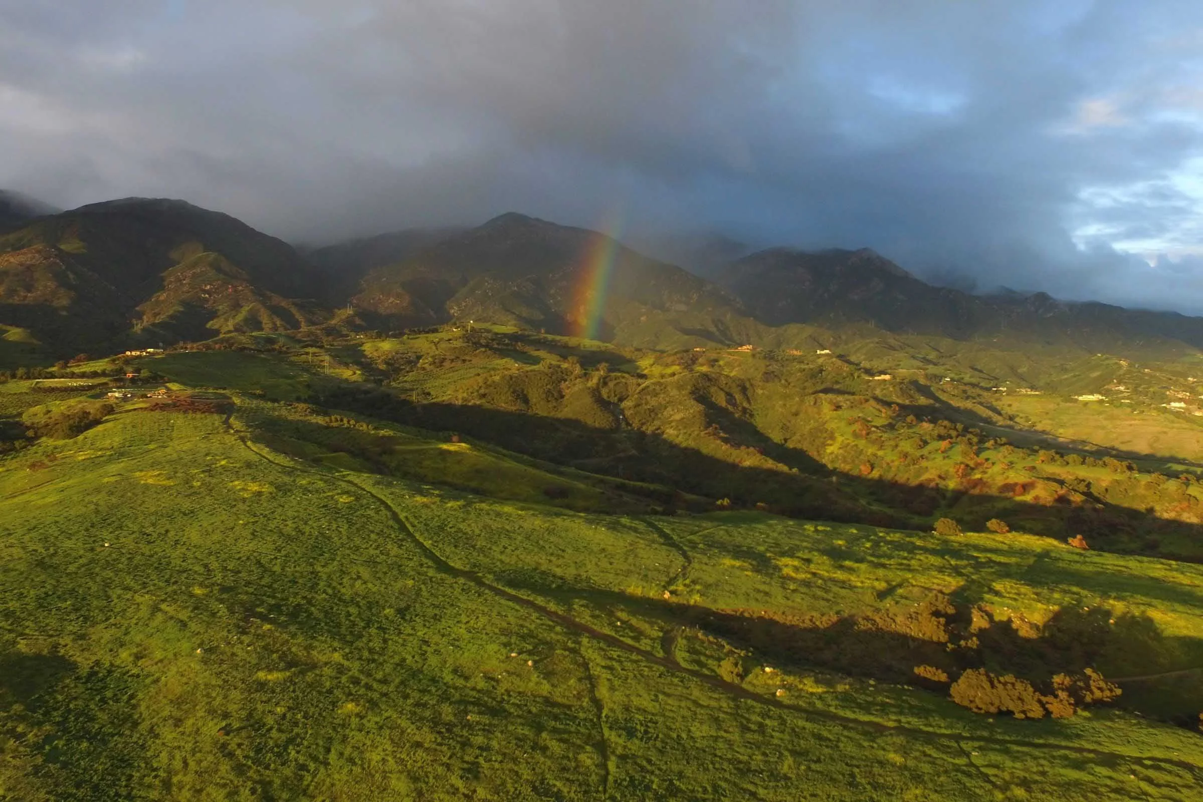 Andrew Mcmahon Kelly Hansch