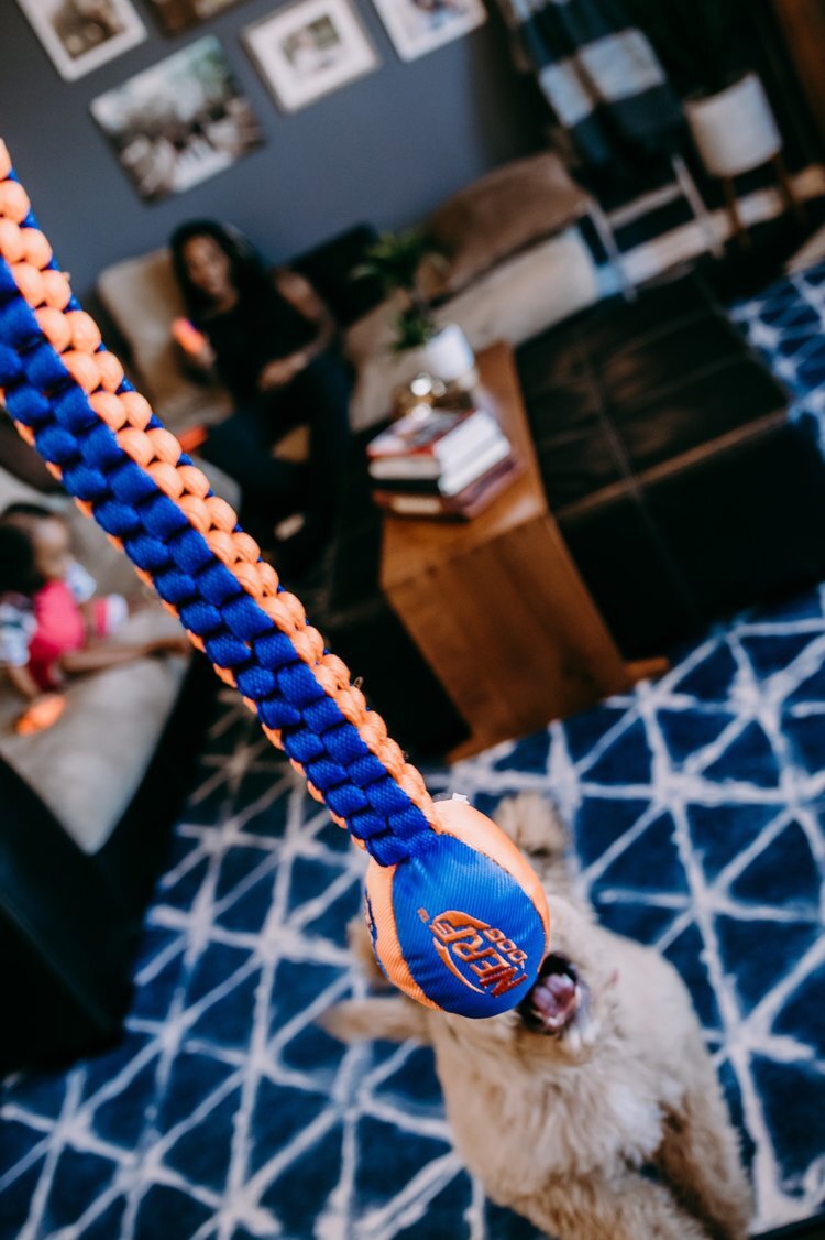 Nerf Wars at the Shelton House! — Maria Shelton - Lifestyle Influencer ...
