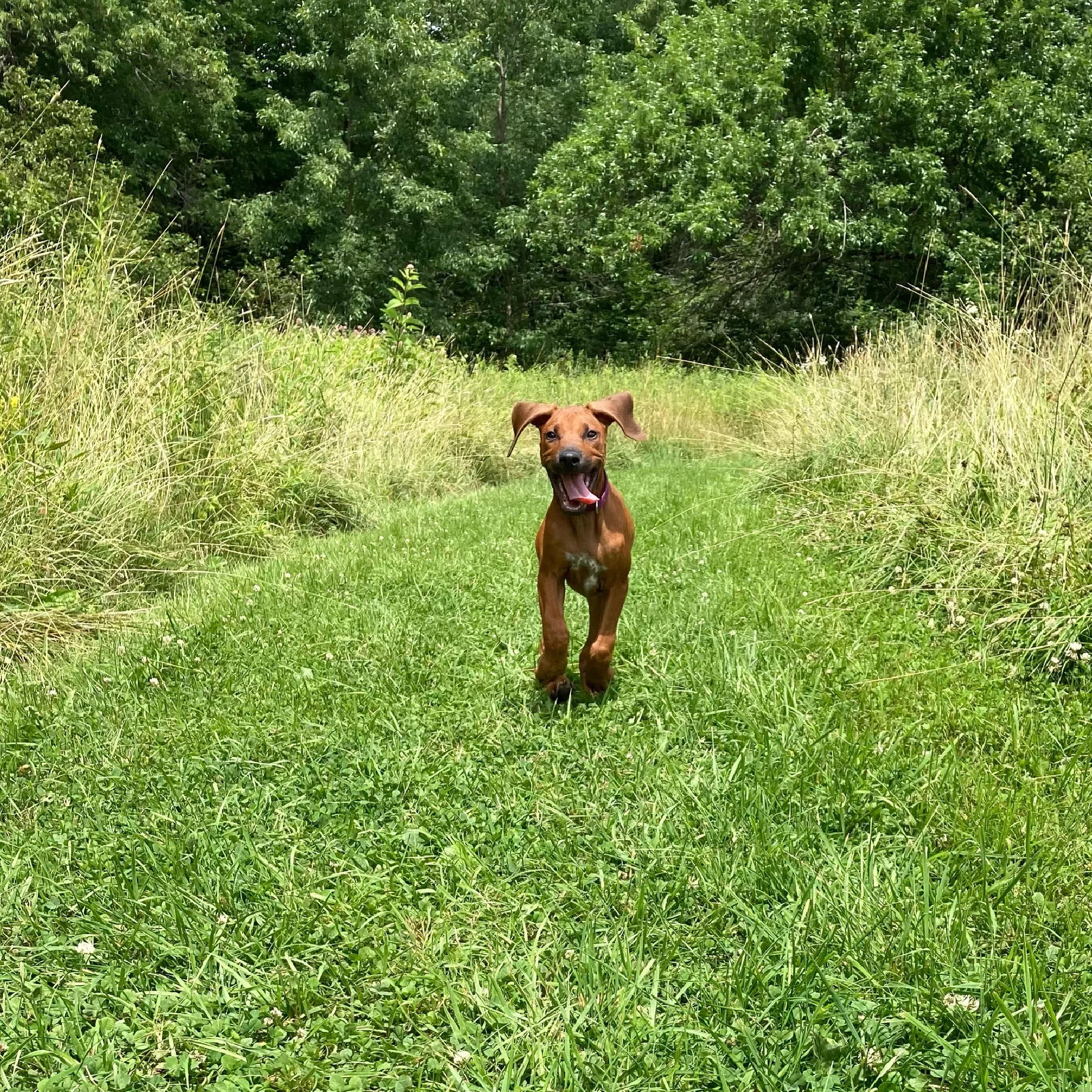 Grace Pomeroy Training