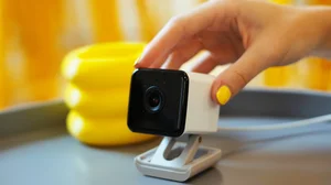 Roommate Stealing A Guide To What To Do Next Kangaroo Therooyorker