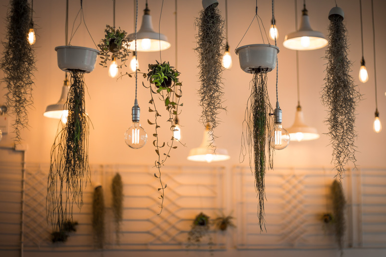 The Power of a Well-Lit Exterior: Why Outdoor Lights Matter — TheRooYorker