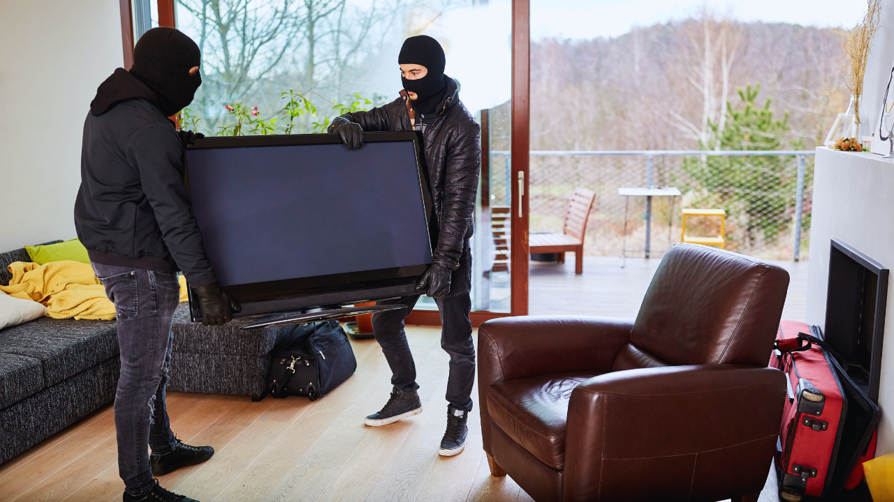 Home Burglar Reality: 7 Facts You Need to Know — TheRooYorker