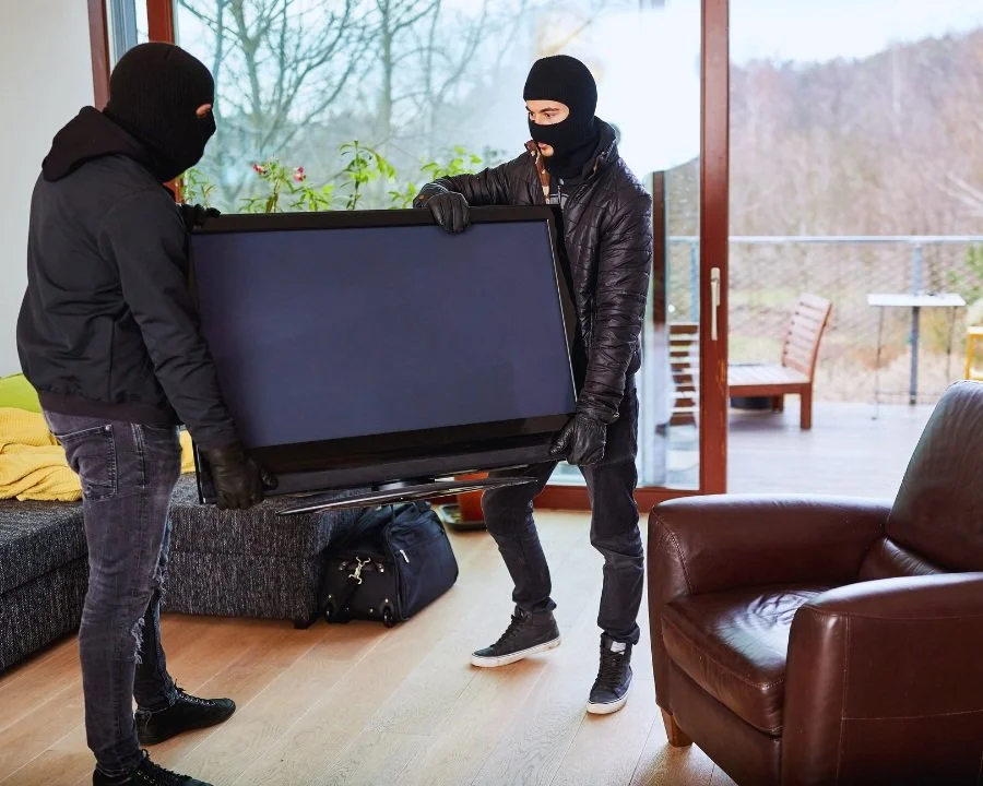 Home Burglar Reality: 7 Facts You Need to Know — TheRooYorker