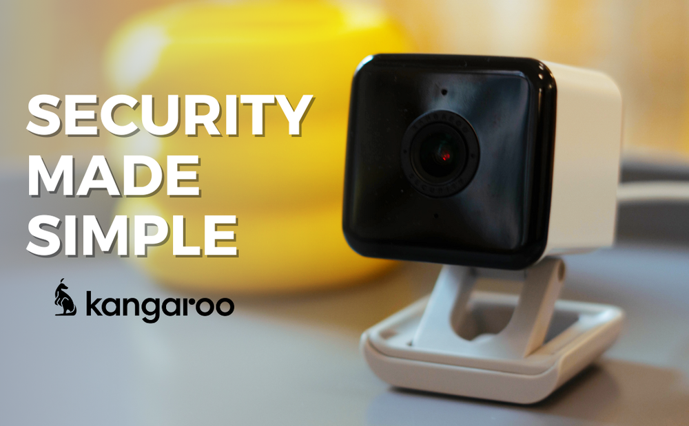 How to Choose the Right Indoor Security Camera — TheRooYorker