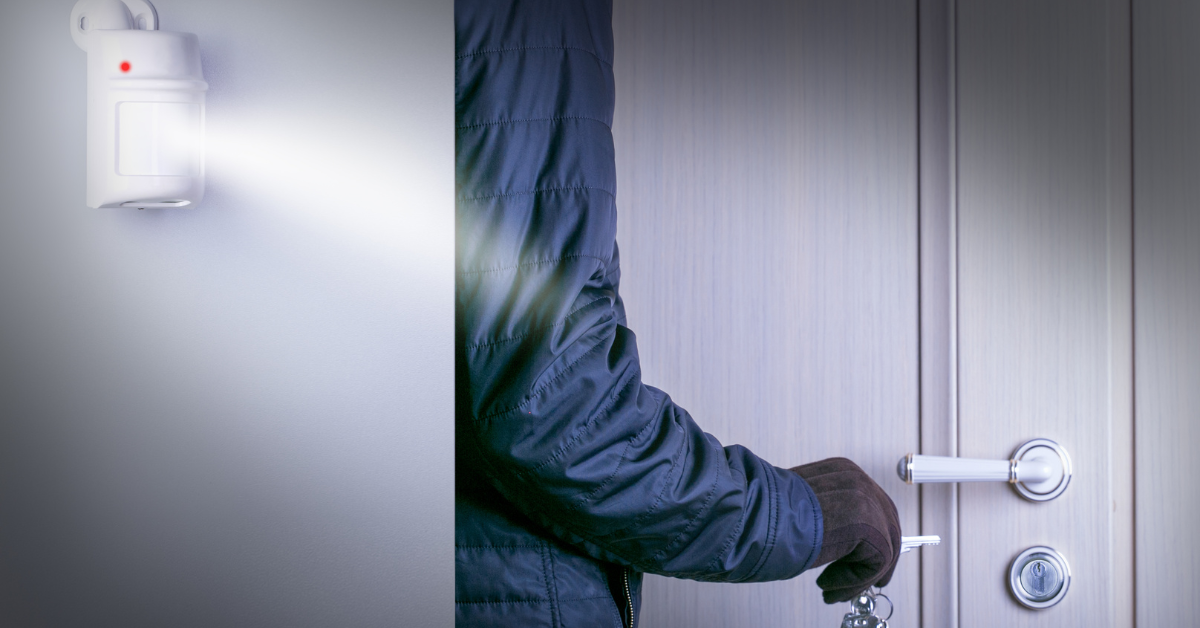 Sensor Alarms: Best Alert System for Outdoor Spaces — TheRooYorker